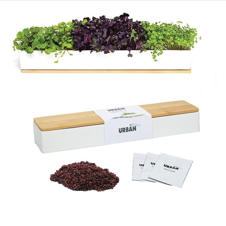 Urban Greens Co. - Microgreens Windowsill Box Grow Kit – Little Eco Shop