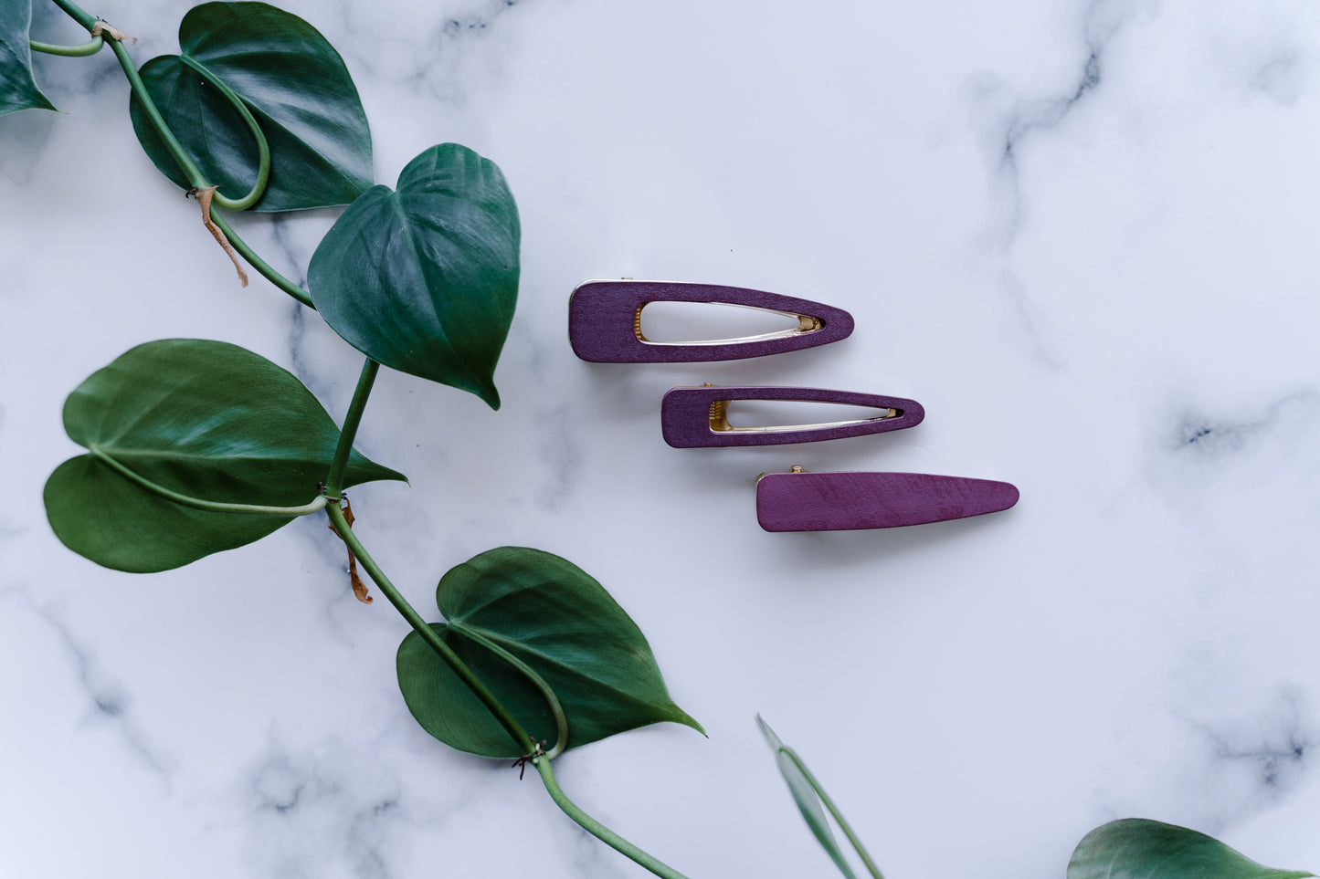 Sustainable Haircare Products – Little Eco Shop